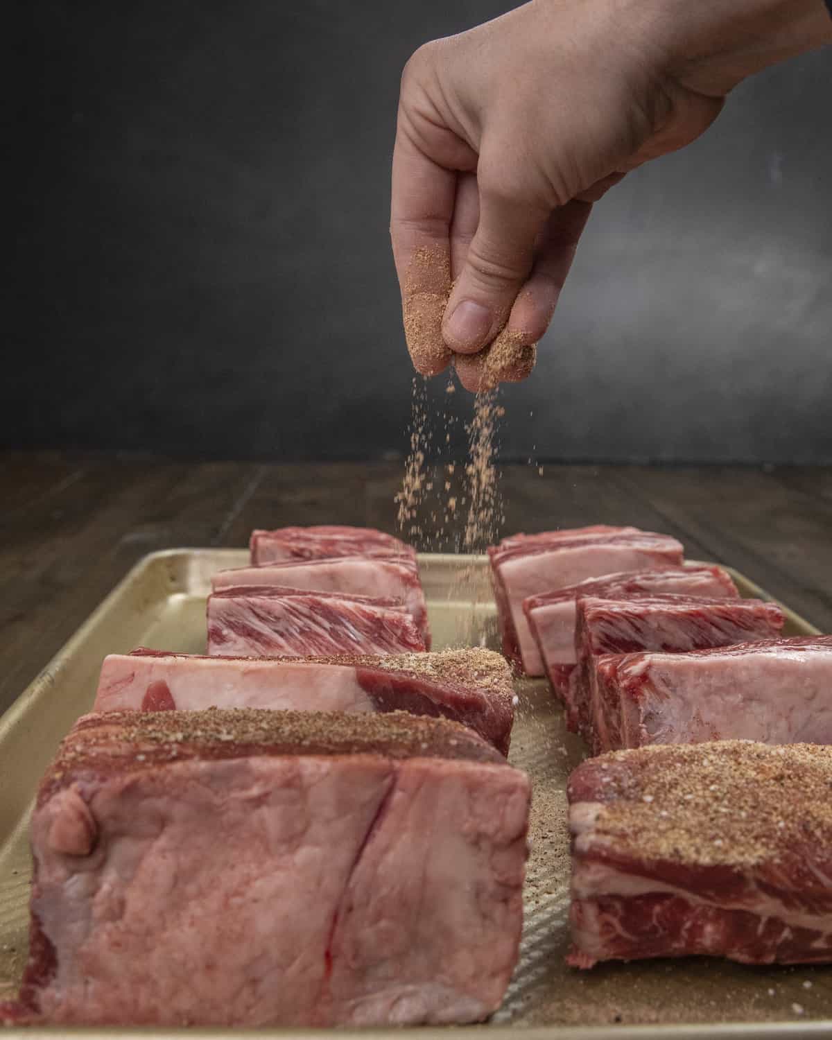 Smoked Beef Short Rib Sliders