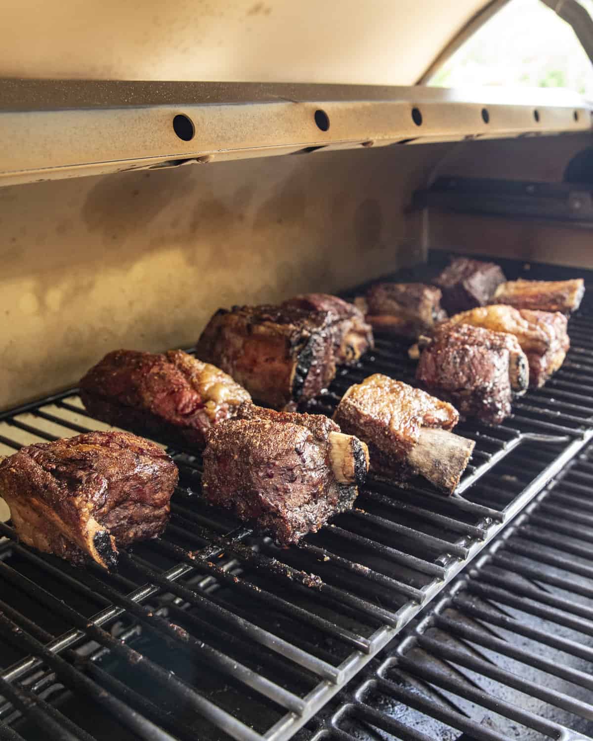 Smoked Beef Short Rib Sliders